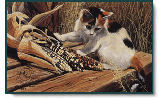 Amy Brackenbury - Cat in the Maize - Christ-Centered Art