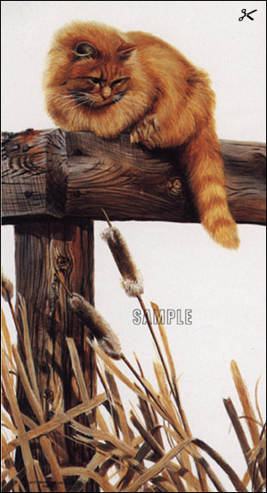 Amy Brackenbury - Cattails - Christ-Centered Art