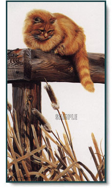 Amy Brackenbury - Cattails - Christ-Centered Art