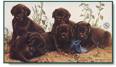 Amy Brackenbury - Chocolate Cluster - Christ-Centered Art