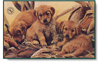 Amy Brackenbury - Corn Dogs - Christ-Centered Art