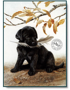 Amy Brackenbury - Featherbrain - Christ-Centered Art