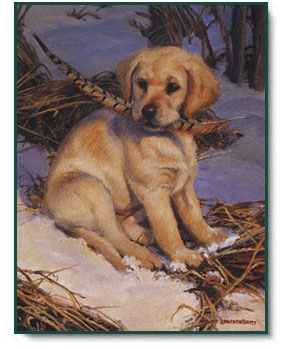 Amy Brackenbury - Featherweight - Christ-Centered Art