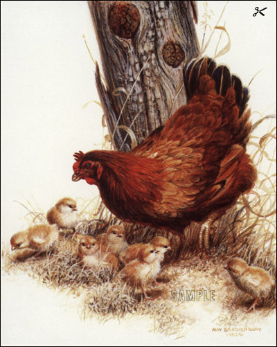 Amy Brackenbury - First Excursion - Christ-Centered Art