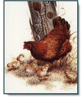 Amy Brackenbury - First Excursion - Christ-Centered Art