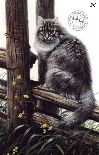 Amy Brackenbury - Pole Cat - Christ-Centered Art