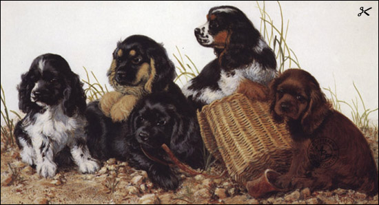 Amy Brackenbury - Pupulation Explosion Black Variations - Christ ...