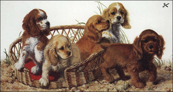 Amy Brackenbury - Pupulation Explosion Gold Variations - Christ ...