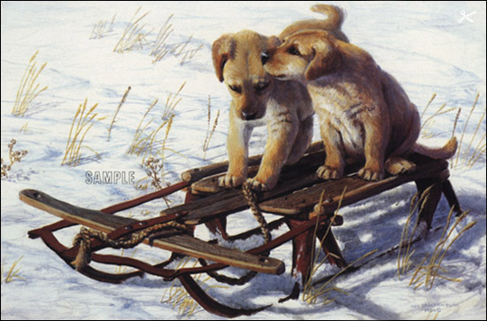 Amy Brackenbury - Sled Dogs - Christ-Centered Art