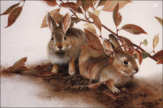 Amy Brackenbury - Under the Red Twigs - Cottontails - Christ-Centered Art