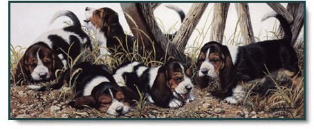 Amy Brackenbury - Waggin' Tails - Christ-Centered Art