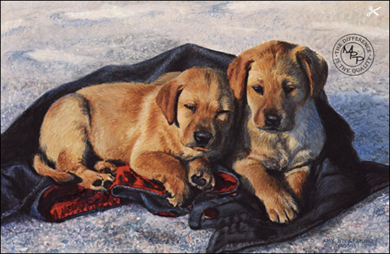 Amy Brackenbury - Winter Coat - Christ-Centered Art