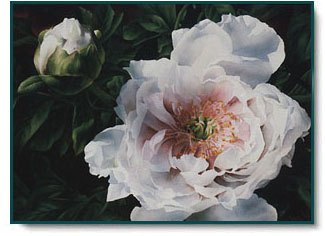 Arleta Pech - Lady of the Evening - Christ-Centered Art