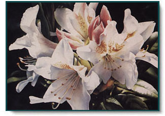 Arleta Pech - Rhodies - Christ-Centered Art